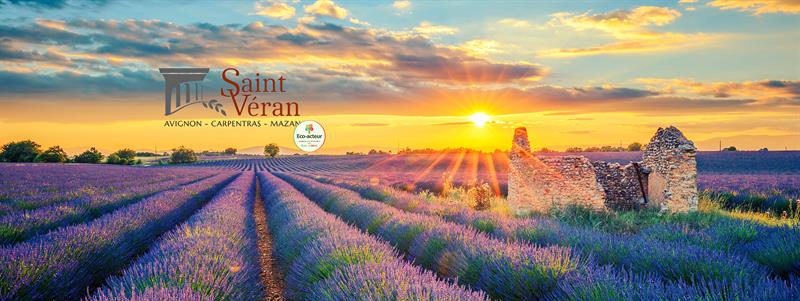 Décès de Madame Gisèle ERLICH née RAMIREZ (29-01-25)